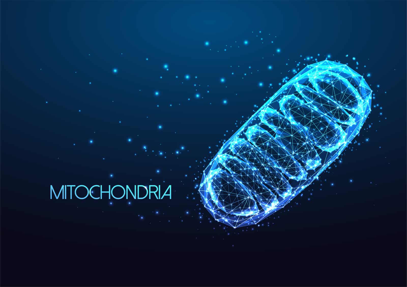 Mitochondria Resources - Staying Alive