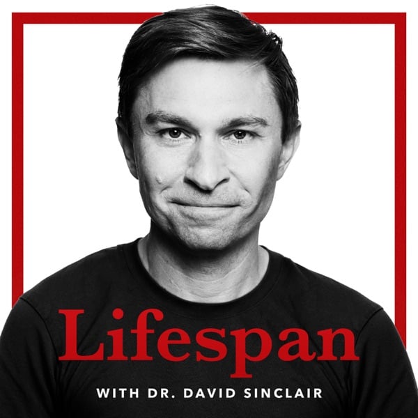 Lifespan with Dr. David Sinclair - Health & Biohacking Podcast - Staying Alive