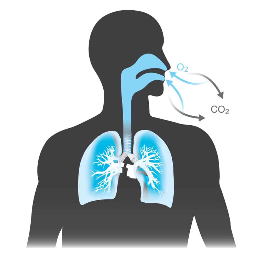 Respiratory System Resources - Staying Alive